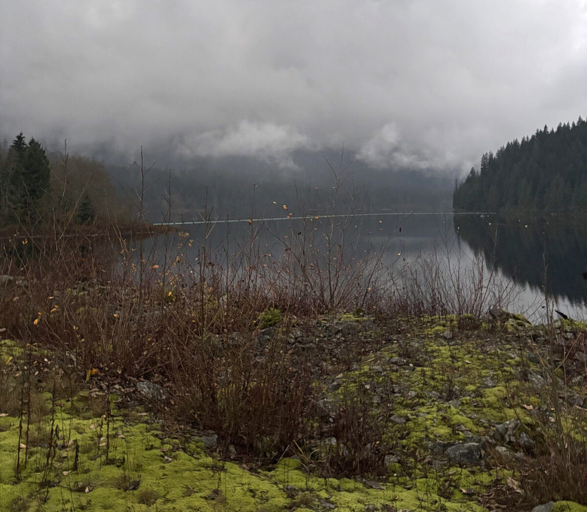 Kwikwetlem First Nation seeks to bring back sockeye and coho – The ...